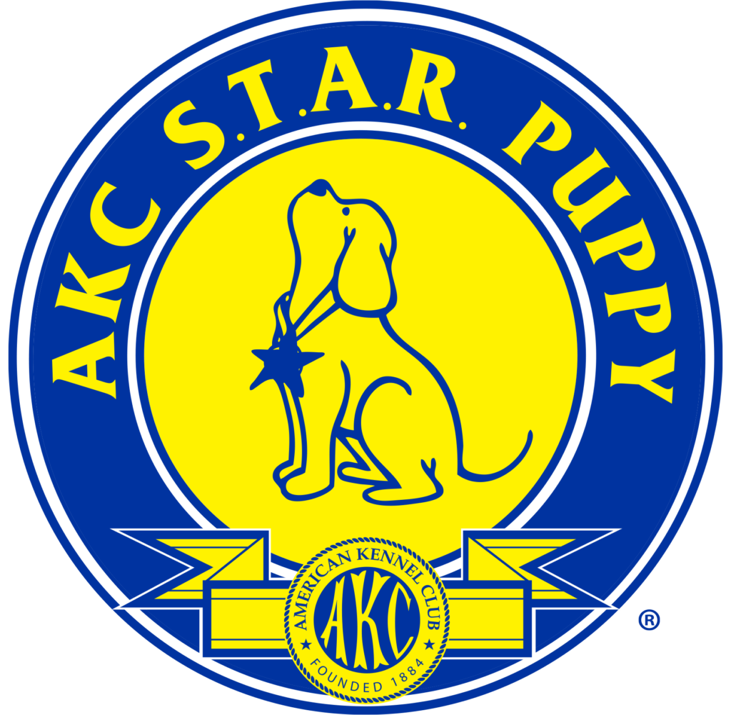 AKC S.T.A.R. Puppy – American Kennel Club