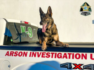 Cadaver Dogs Involved in Brian Laundrie & Gabby Petito Case in High Demand