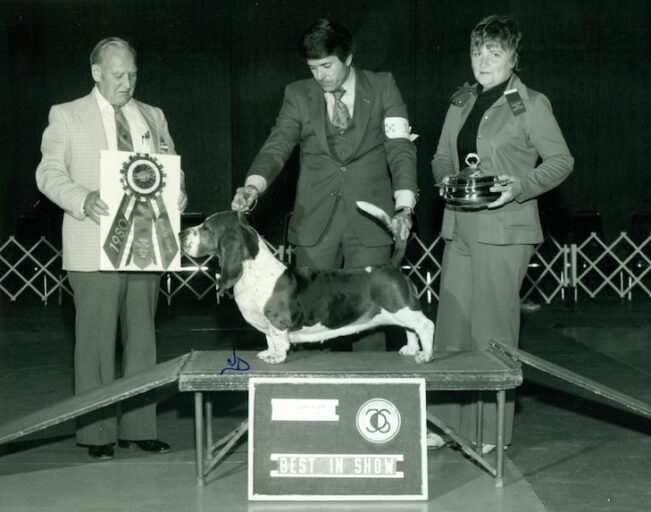 Basset Hound History: A Noble Clown & Loyal Hunting Dog – American ...