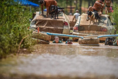 Junior Spotlight Fall 2021 – American Kennel Club