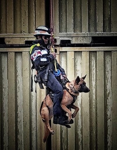 Search-and-Rescue Dog "Magnus" Recognized for Detection Work