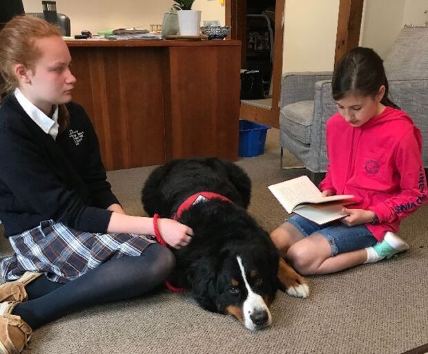 Therapy Dog "Teddy" Awarded for Extraordinary Sense of Empathy ...