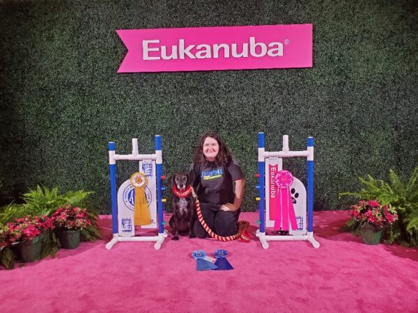 Good Luck to Juniors & their AADs at 2021 Junior Agility Competition ...