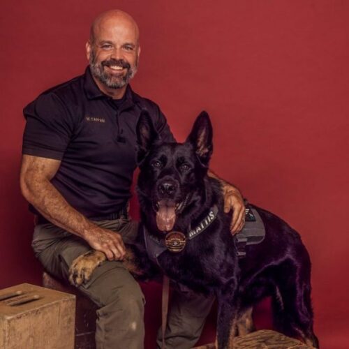 Police K-9 "Mattis" Awarded for Excellence and Bravery – American ...