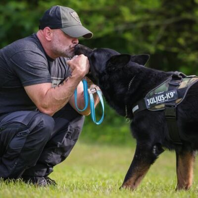 Police K-9 "Mattis" Awarded for Excellence and Bravery – American ...