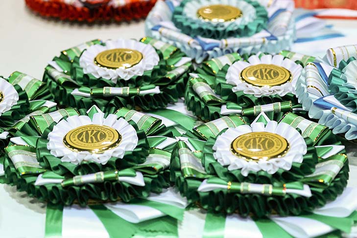 Show Summary – American Kennel Club