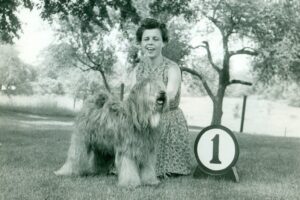 Puli History: Where the Breed Originated