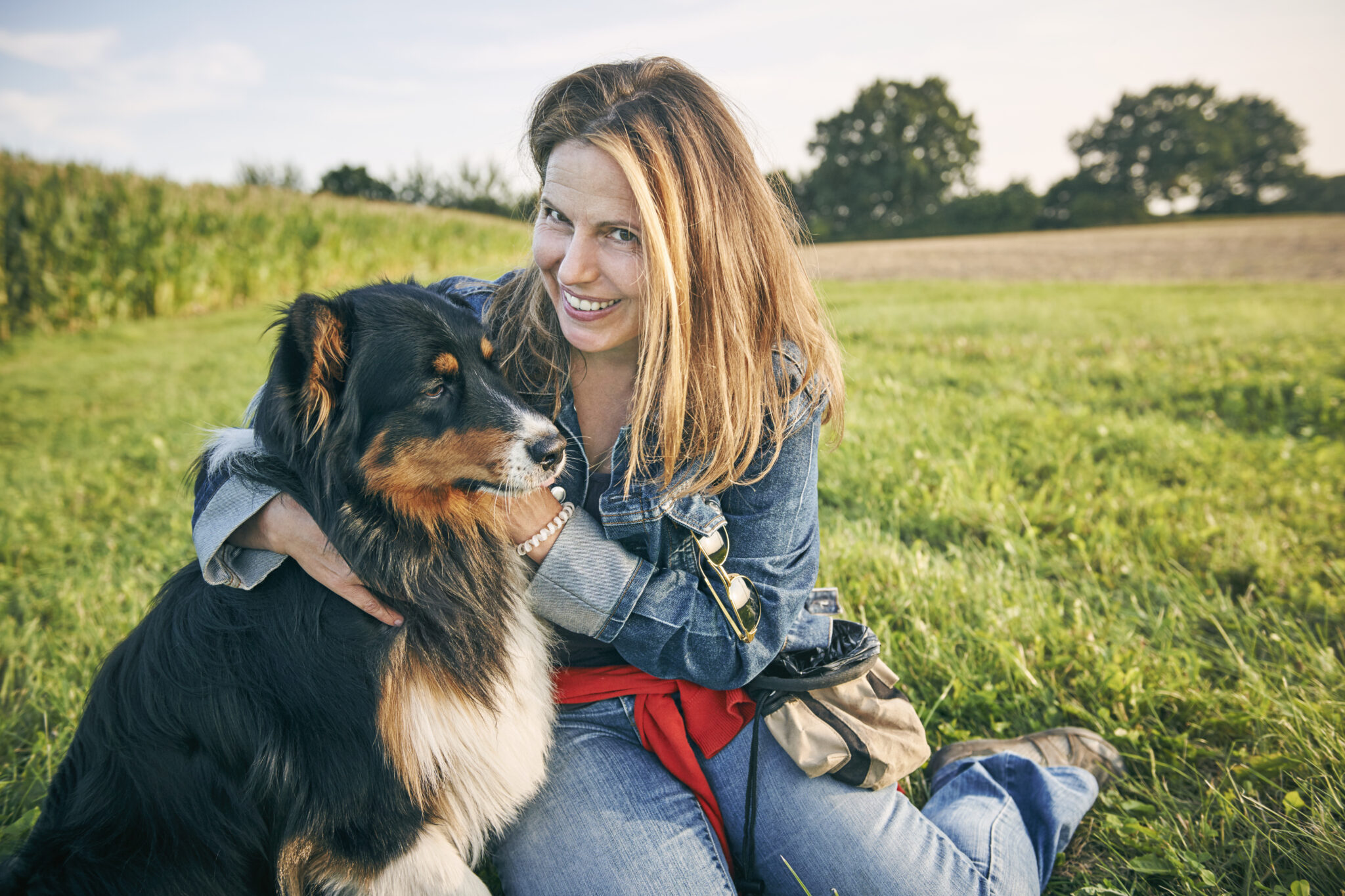 Training Resources – American Kennel Club