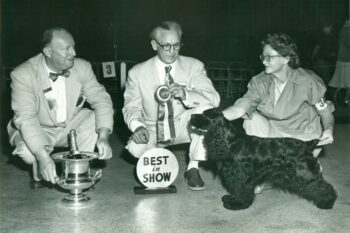 Breed History – American Kennel Club