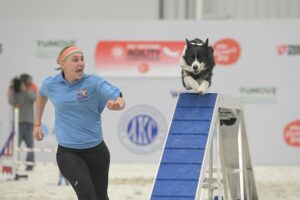 AKC National Agility Championship – American Kennel Club