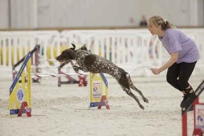 AKC National Agility Championship – American Kennel Club