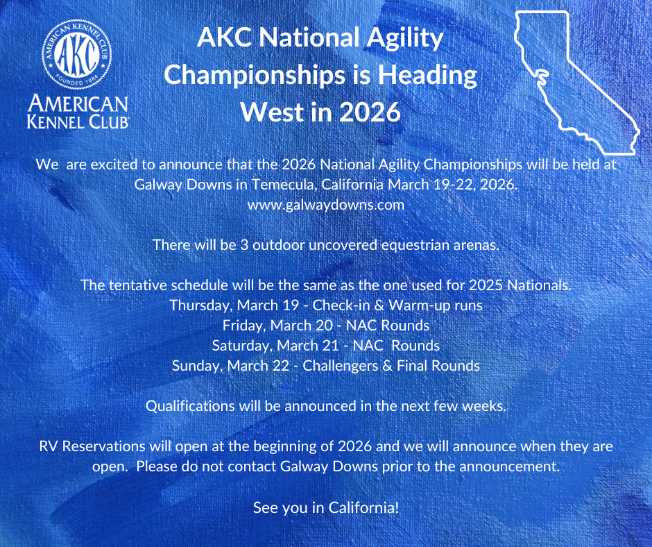 AKC National Agility Championship – American Kennel Club