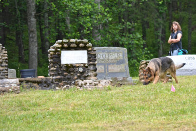 What are Cadaver Dogs Teaching Us About History?