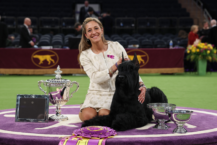 Westminster Celebrity Series 60 Photos - Moonagedaydream.film