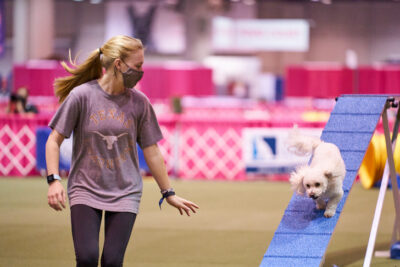 Can Junior Handlers Show Dogs They Don't Own?