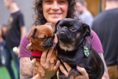 How to Organize a Dog Breed Meetup