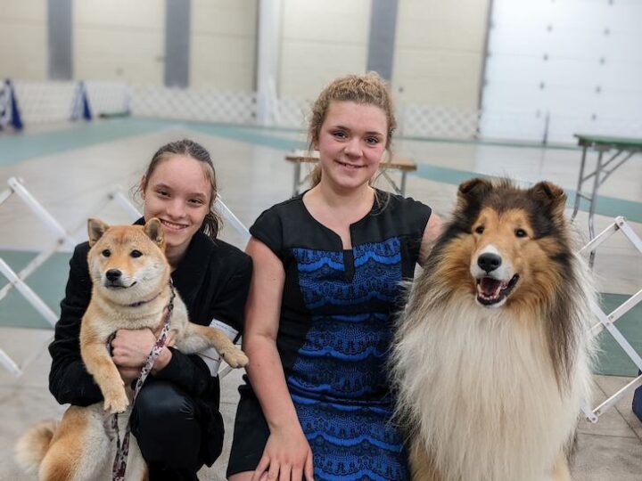 16-Year-Old Girl With Autism Gains Confidence From Showing Shiba Inus