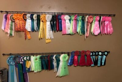 Dog Show Ribbon Display Ideas That Are Better Than A Box – American ...