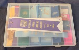 Dog Show Ribbon Display Ideas That Are Better Than A Box – American ...