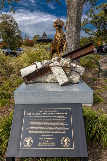 The Lasting Impact of the Dog Heroes of 9/11