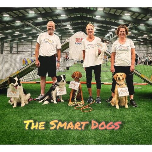 Winners Announced for Inaugural AKC Agility League Program – American ...