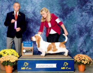 AKC Breeder of Merit: Recognizing Breeder Success with Multiple Levels ...