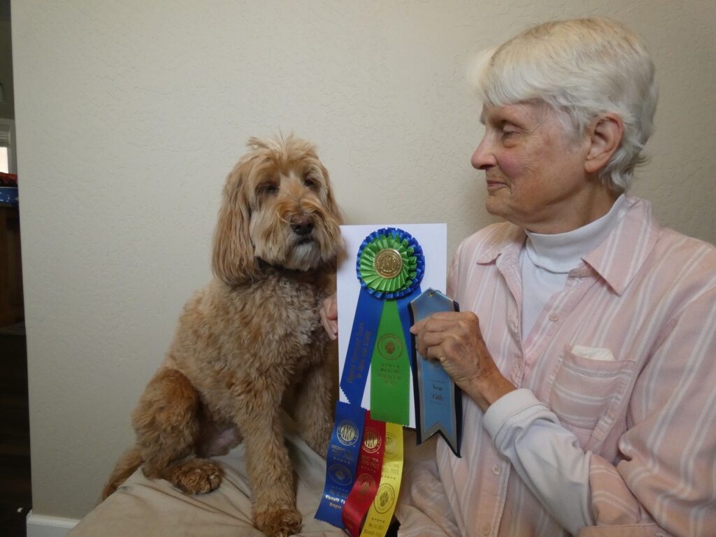 Competition/Titles Update Fall 2022 – American Kennel Club