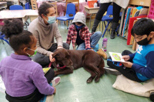 Class Acts: Therapy Dogs Work Full Time in Classrooms – American Kennel ...
