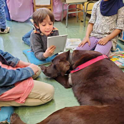 Class Acts: Therapy Dogs Work Full Time in Classrooms – American Kennel ...