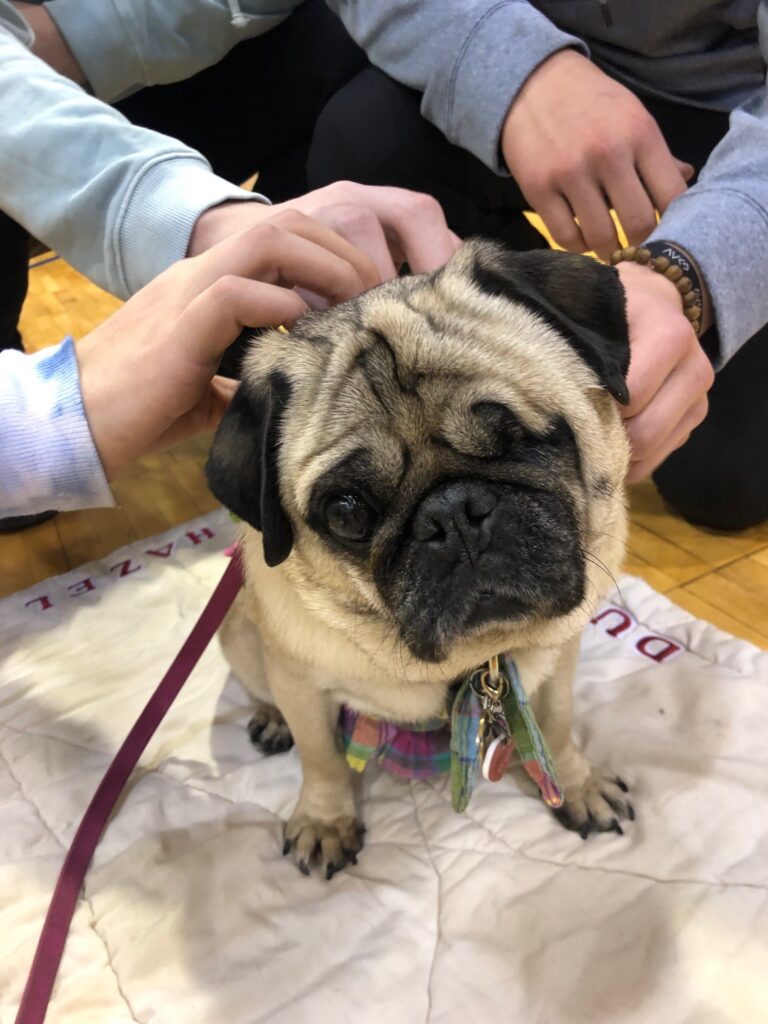 AKC Title Recognition Fall 2022 – American Kennel Club