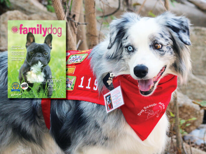 Family Dog – American Kennel Club