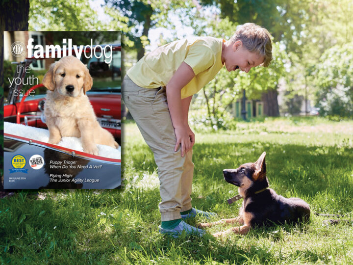Family Dog – American Kennel Club