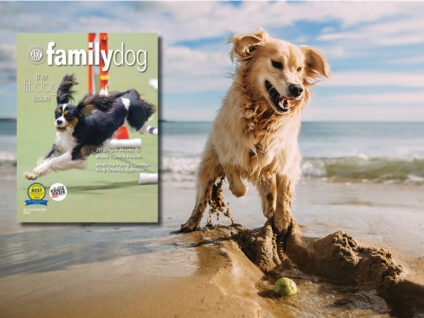 Family Dog – American Kennel Club