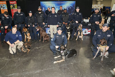 Public Service Dog Titling Program – American Kennel Club