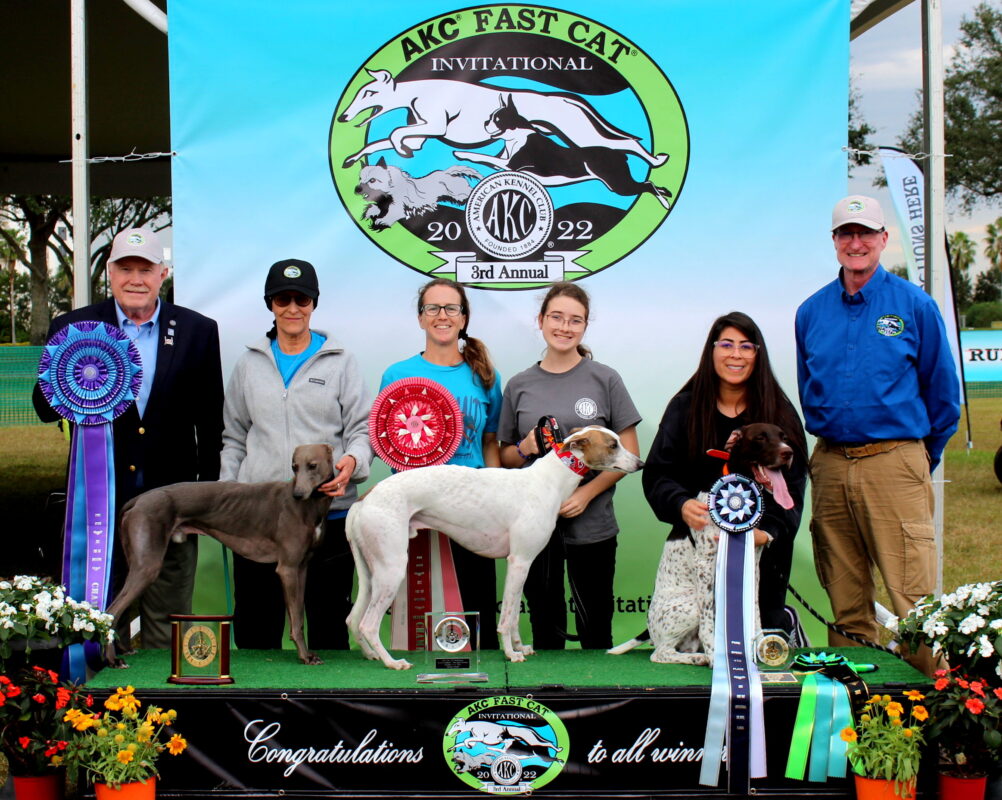 Fast CAT Invitational Past Photos – American Kennel Club