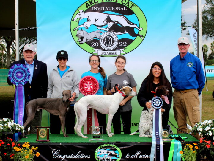 Fast CAT Invitational Past Photos – American Kennel Club
