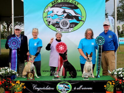 Fast CAT Invitational Past Photos – American Kennel Club
