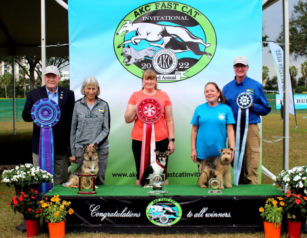 Fast CAT Invitational Past Photos – American Kennel Club