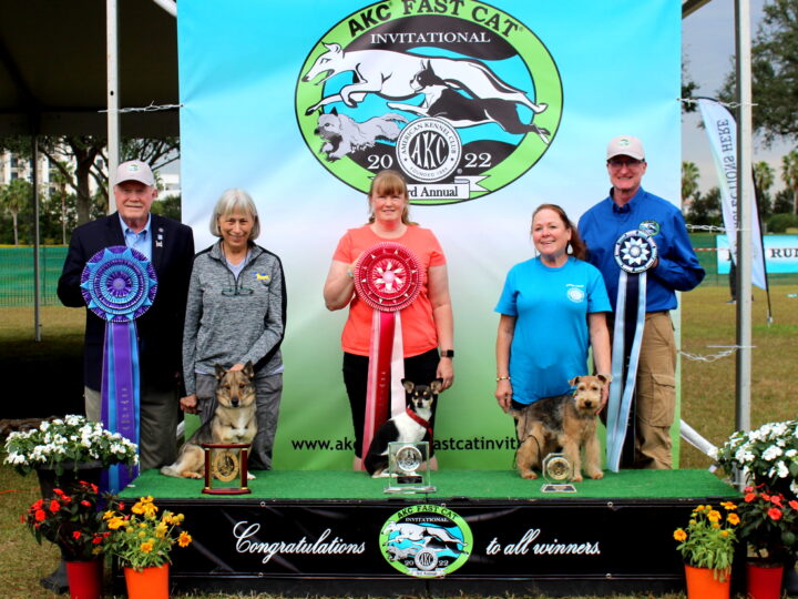 Fast CAT Invitational Past Photos – American Kennel Club