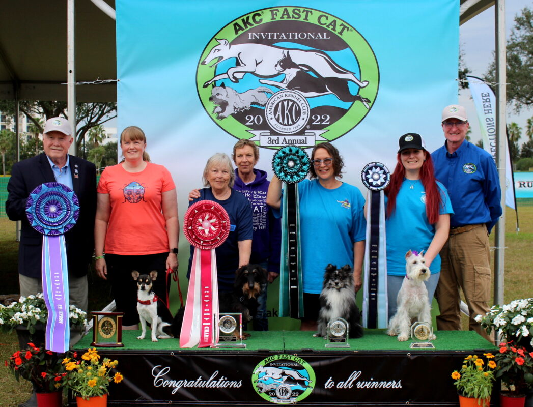 Fast CAT Invitational Past Photos – American Kennel Club