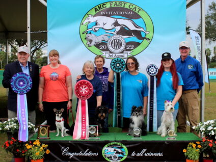 Fast CAT Invitational Past Photos – American Kennel Club