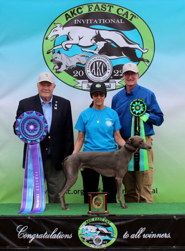 Fast CAT Invitational Past Photos – American Kennel Club