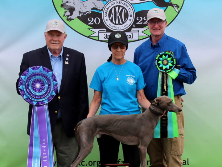 Fast CAT Invitational Past Photos – American Kennel Club