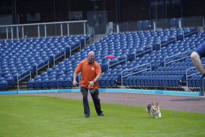 The 2022 Disc Dog Challenge Winners – American Kennel Club