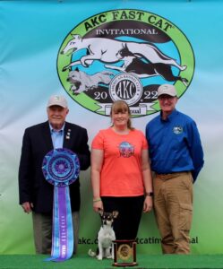 Winners Named at 2022 AKC Fast CAT Invitational – American Kennel Club