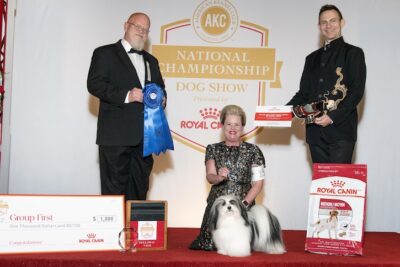 What Are Dog Sport Titles, and What Do They Mean?