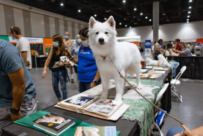 Finding the Right Breed to Fit Your Lifestyle at AKC Meet the Breeds
