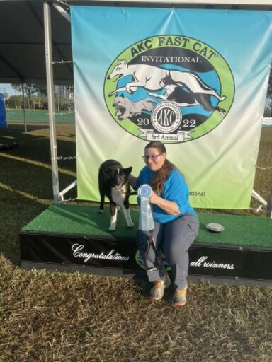 12-Year-Old Karelian Bear Dog Returns in 2022 AKC Fast CAT Invitational