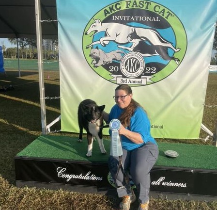 12-Year-Old Karelian Bear Dog Returns in 2022 AKC Fast CAT Invitational