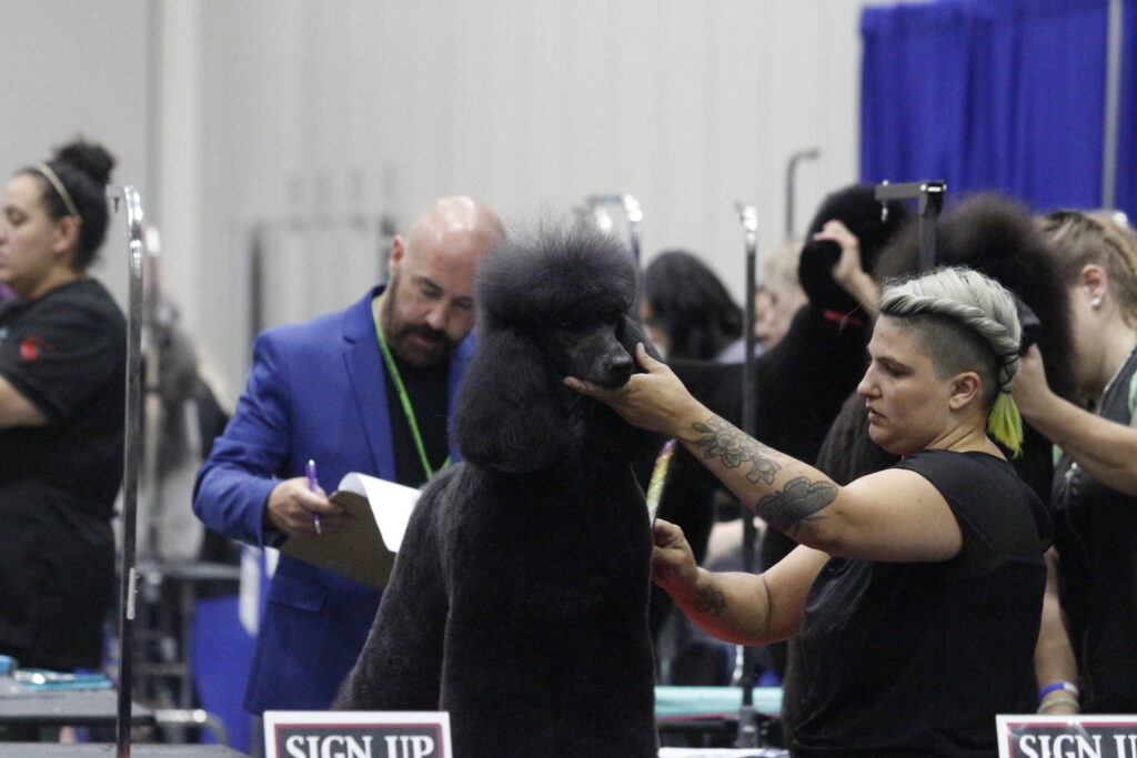Groomer Hub – American Kennel Club